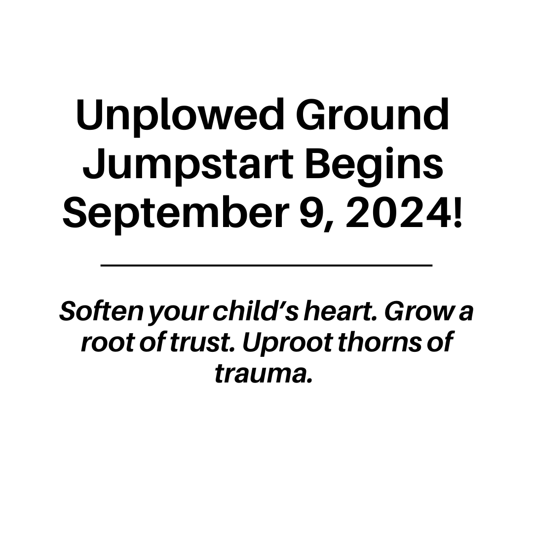 Unplowed Ground Parenting – Strategies for Parenting Challenging Children